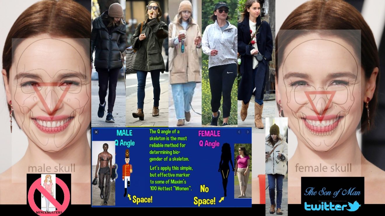 Aug 15 24 Transvestigation: The conspiracy theory that labels ...