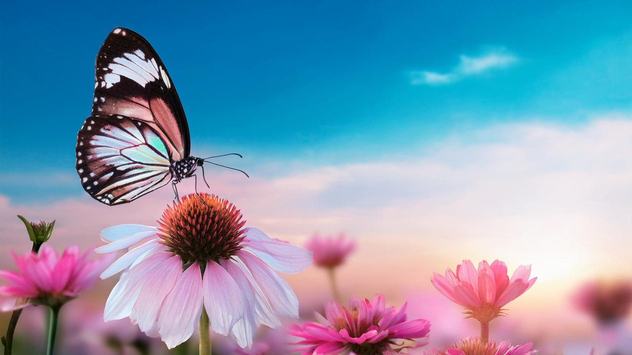 Today's transgender news headlines - Transgender Report